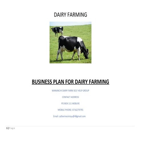 DAIRY FARMING BUSINESS PLAN FOR WANANCHI S.H.GROUP.docx
