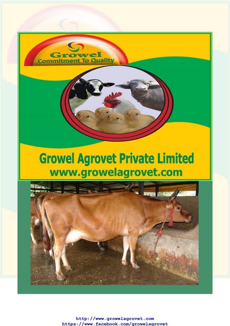 Nabard Dairy Farming Project | PDF