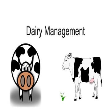 Dairy Management | PPTX