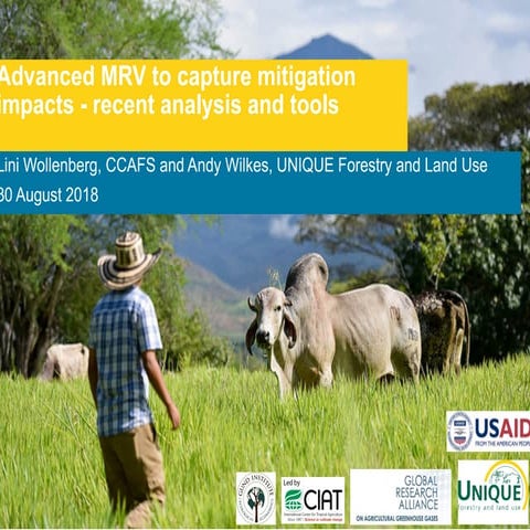 Advanced MRV to capture mitigation impacts -recent analysis and tools | PDF