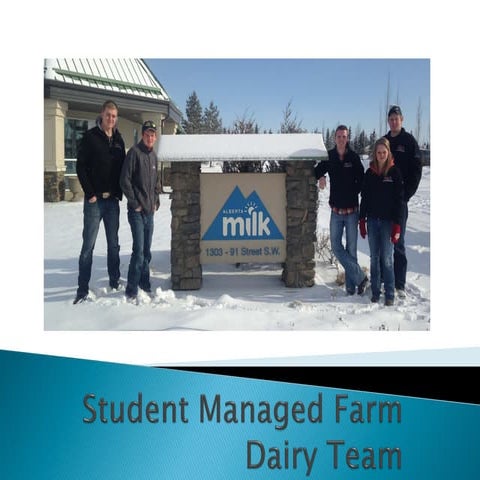 Dairy farm project profile 20 cows | PDF