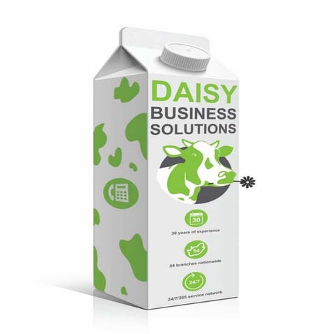 Daisy Business Solutions | PDF | Business | Business and Finance
