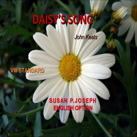 Daisy flower | PPT