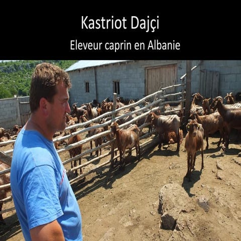 Hasi goat value chain and GI developing process - DOBI | PDF