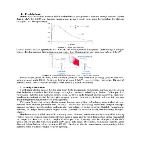 The Role of Slowing Down Neutrons: Short Explained | DOCX