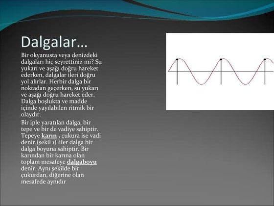Ses Dalgaları Konu Anlatım (Özet) | PDF