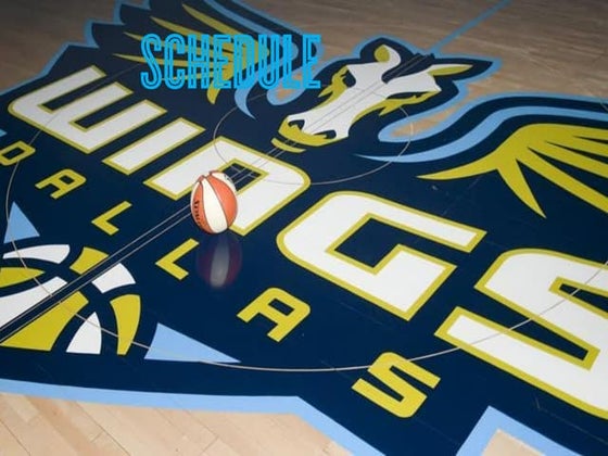 NIKE X WNBA STATEMENT JERSEYS! | PPT