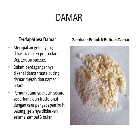 DAMAR.pptx