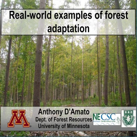 Real-World Examples of Forest Adaptation | PPT