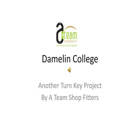 Damelin college turn key project | PPTX