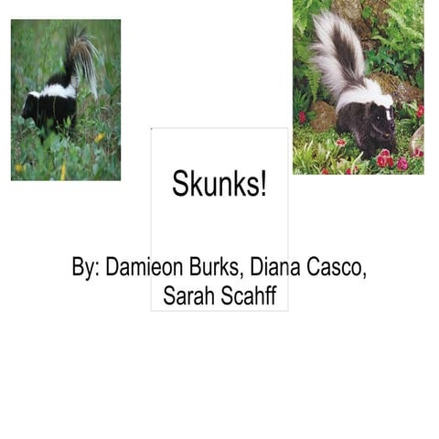 Skunk Research | PPT