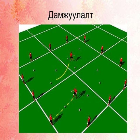 Damjuulalt purevsuren | PPTX