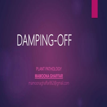 Damping-off |Symptoms, Causes, Control and Management | PPTX