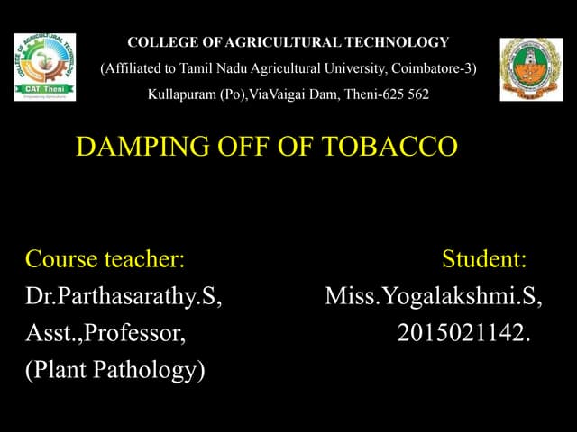 Damping-off |Symptoms, Causes, Control and Management | PPTX