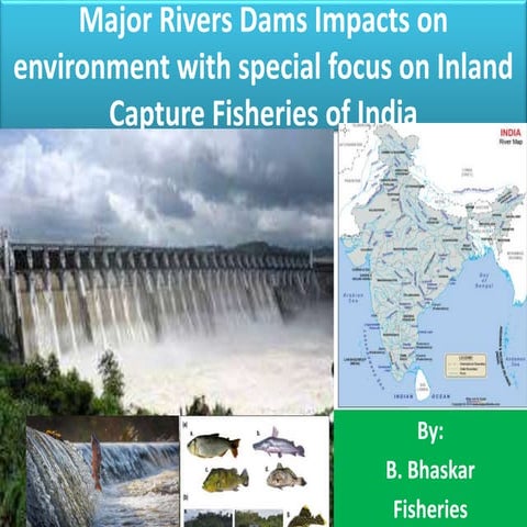 Dams Impacts on environment with special focus on Wild Fisheries.pptx