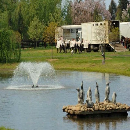 Penguin Lake @ Sydney Polo Club | PDF