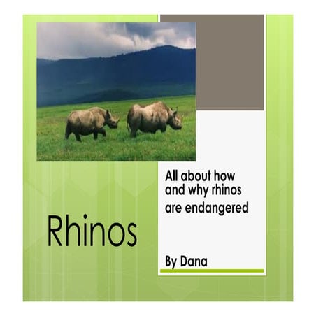 Dana's Rhino Project | PPT