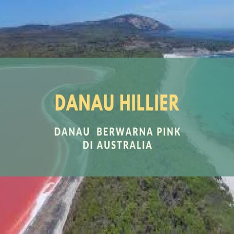 Danau Pink.pdf