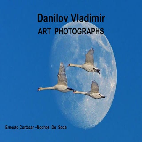 Dance with birds art photographs 9.2009