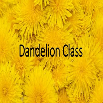 Dandelion class | PDF