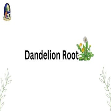 Benefits and Side Effects of Dandelion Root | PPTX