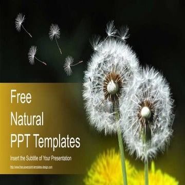 Dandelion Seeds Blowing PowerPoint Templates.pptx