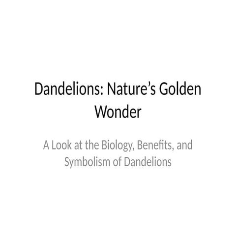 Dandelions_Presentation for a better understanding | PPTX
