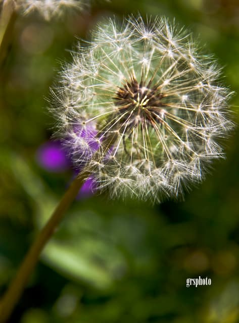Paul Boudreaux Altec Digger Derrick Certificate | PDF