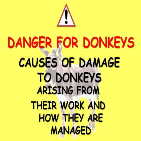 Danger for donkeys | PPT