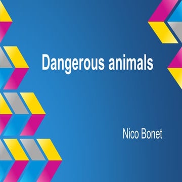 Dangerous animals | PPT