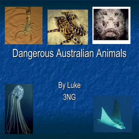 Dangerous australian animals | PPT | Reptiles | Pets