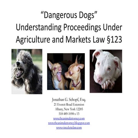 Dangerous Dog Law in New York | PPTX | Veterinary Medicine | Pets