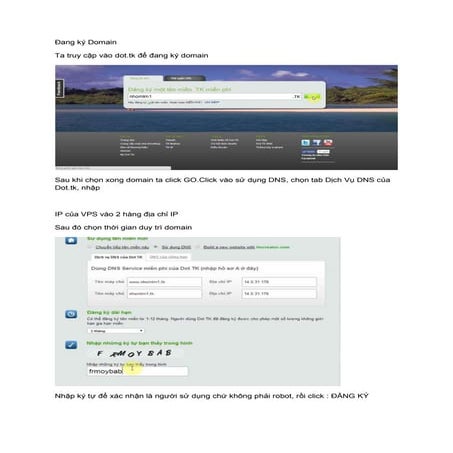 Dang ky domain | PDF