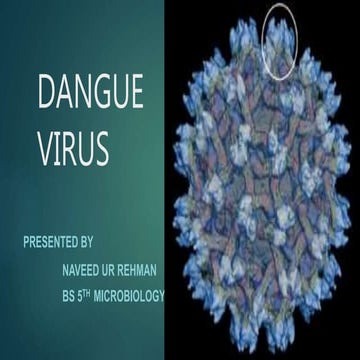 Dangue Virus | PPTX