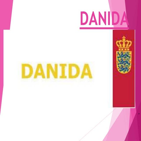 danida-171220092943.pptx danida in community | PPTX