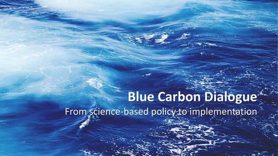 Kebijakan Blue Carbon dalam operasionalisasi global | PDF