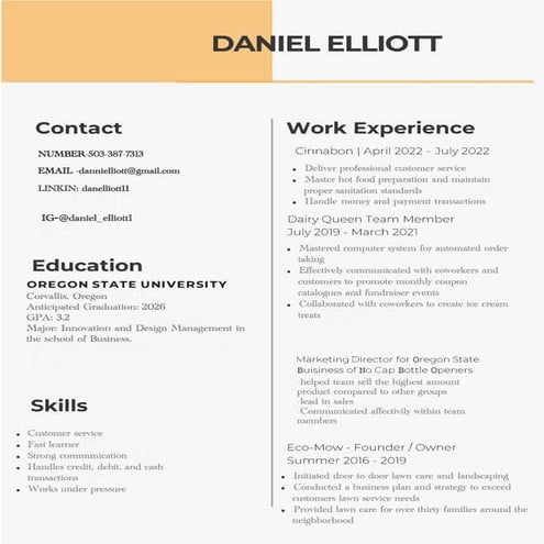 Daniel Elliotts unique beautiful portfolio | PDF