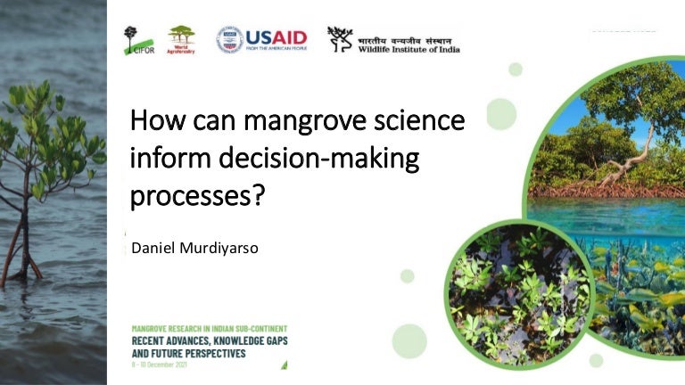 How can mangrove science inform decision-making processes? - CIFOR ...
