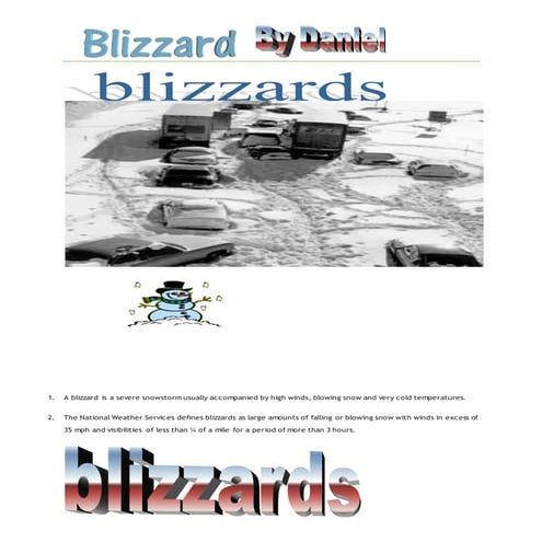 Daniel's blizzard project | DOCX