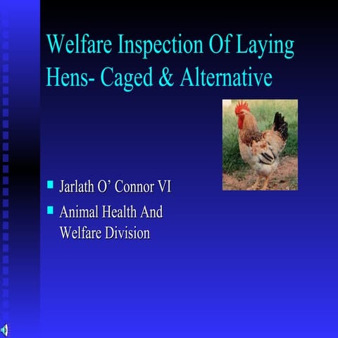 D:\Animal Welfare\Powerpoints\Laying Hens\Sound\Completedmp3\Embedmp3 | PPT
