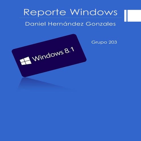 Reporte windows | PDF