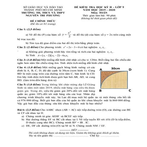 Đề Thi HK2 Toán 9 - TH THCS THPT Nguyễn Tri Phương | PDF