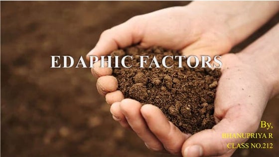 Edaphic factors- soil profile, structure, porosity, soil moisture, soil ...