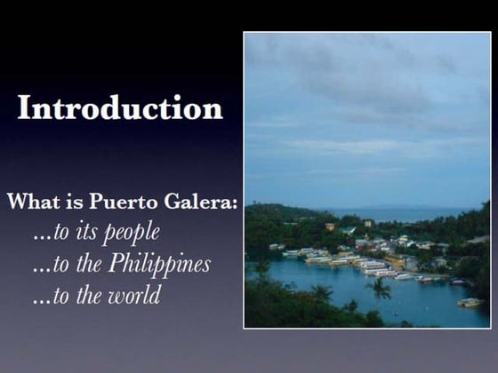 Plant community structure and diversity assessment of selected mangrove ...