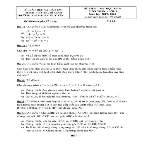 Đề Thi HK2 Toán 9 - THCS THPT Duy Tân | DOCX