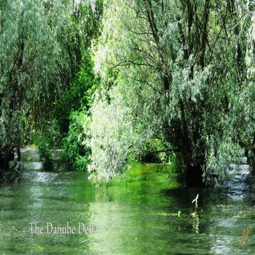 Danube Delta, Romania | PPTX