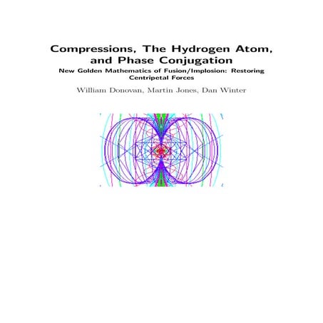 Dan Winter Mathematicsoffusion.pdf