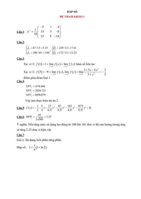 Bài tập Toán kinh tế | PDF