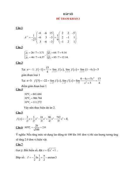 Bài tập Toán kinh tế | PDF