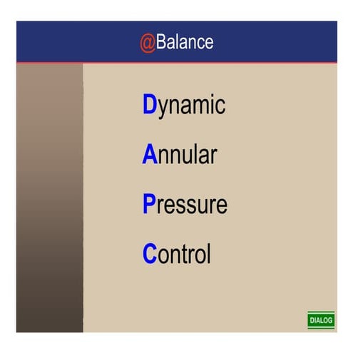 Dapc general summarised_241106 | PDF